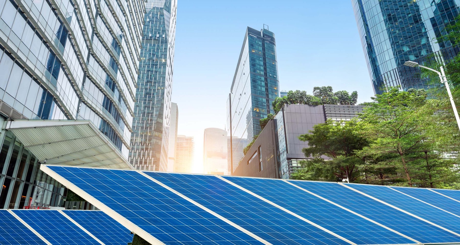 Certificados de Energía Renovable (I-RECs)