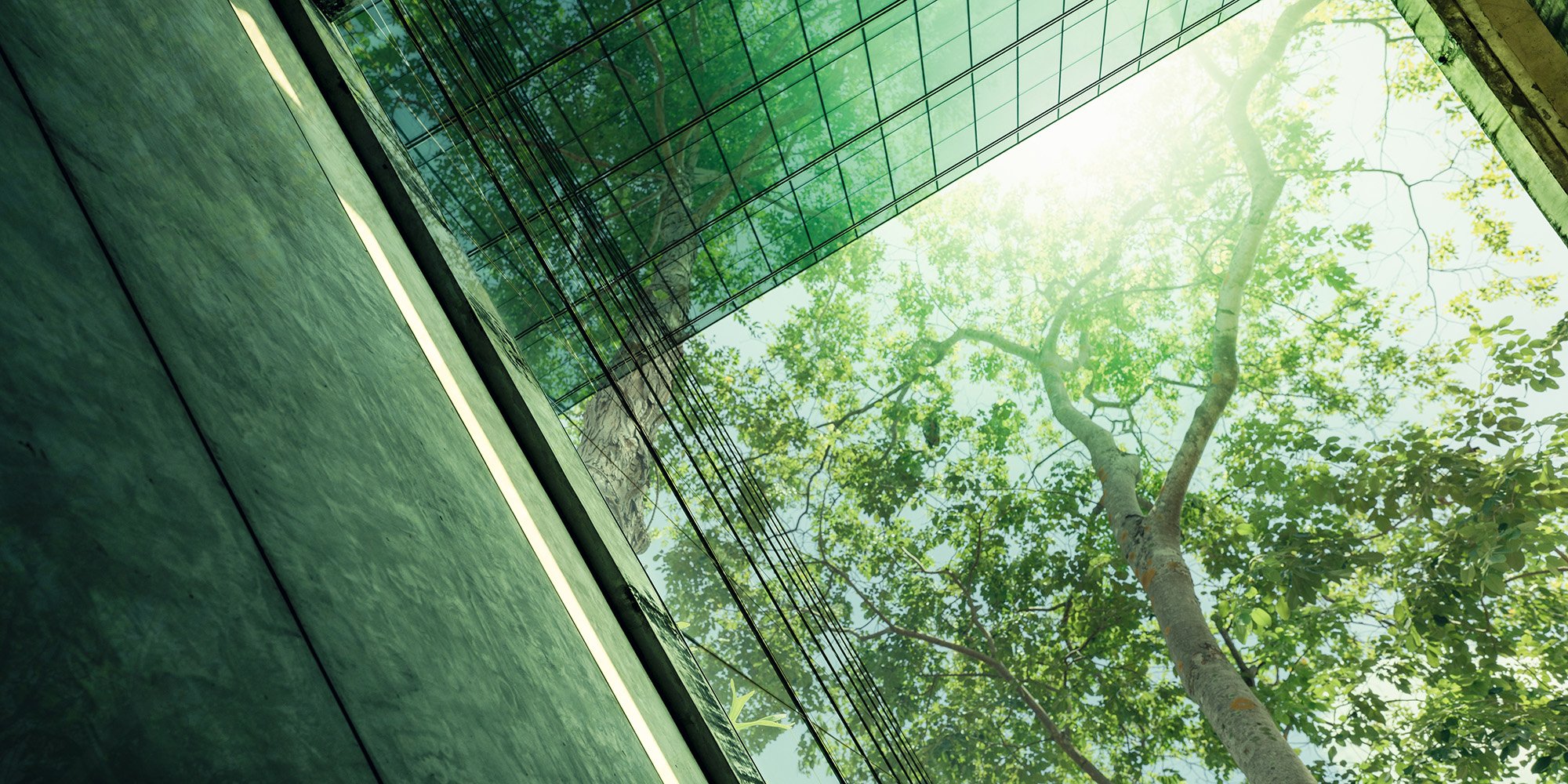 PPAs explained: what you should know about Power Purchase Agreements