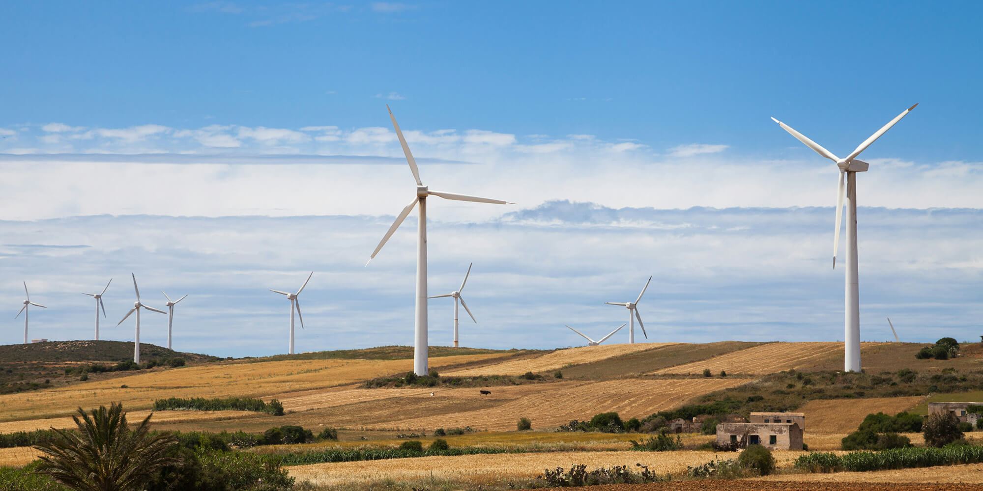 The market outlook for International Renewable Energy Certificates