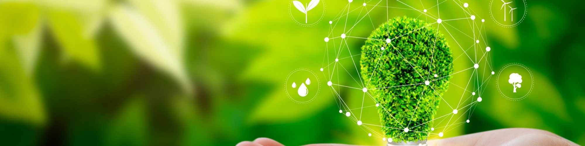 Holistic Approach to Sustainability